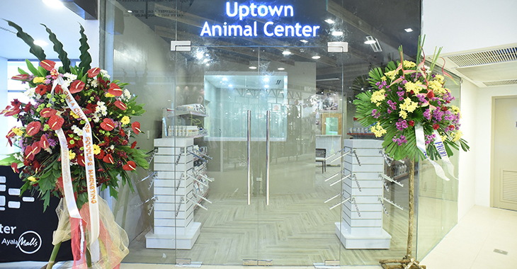 10 Things to Do at UP Town Center