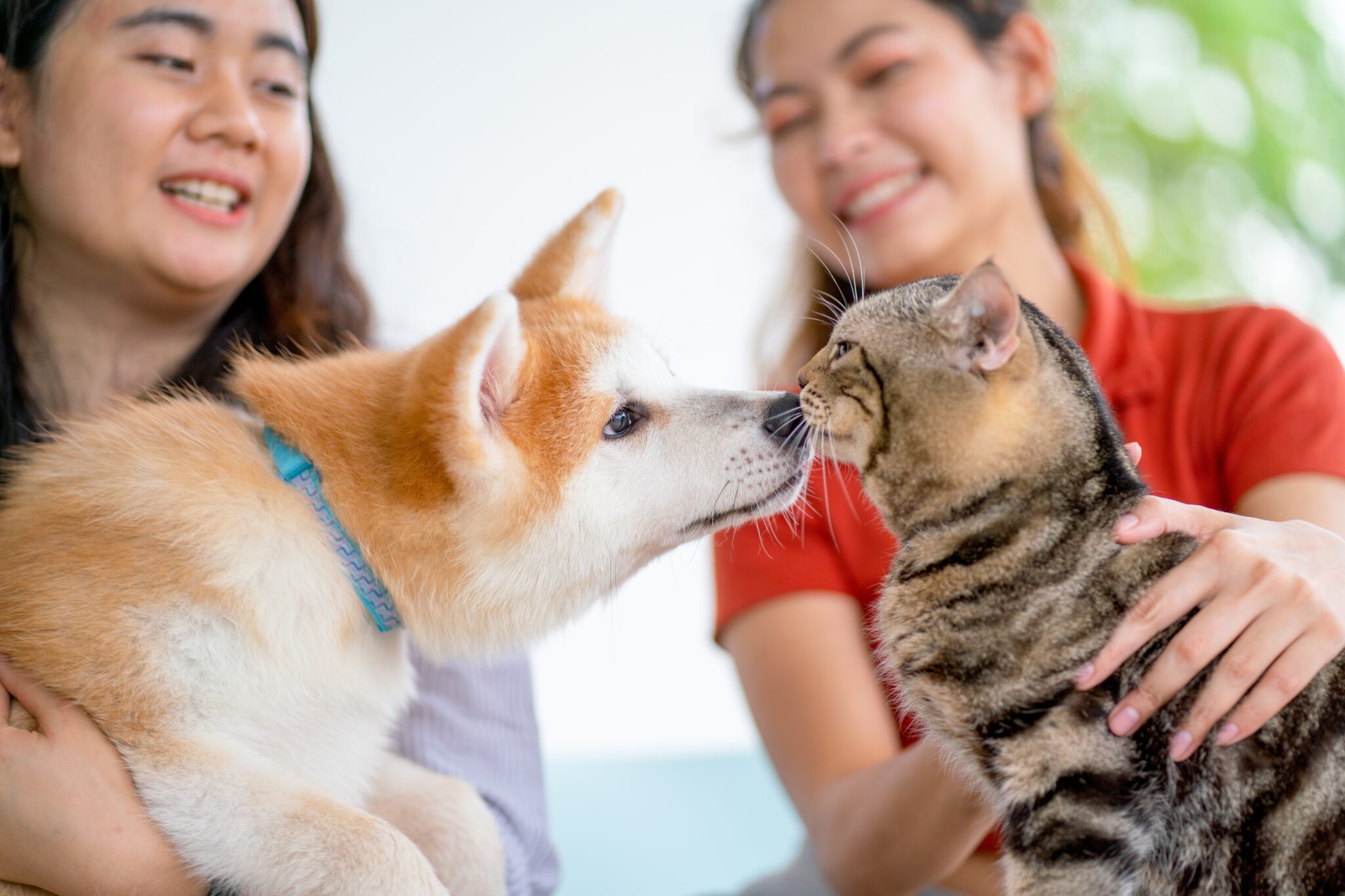 Pet-Friendly Restaurants | ModernFilipina